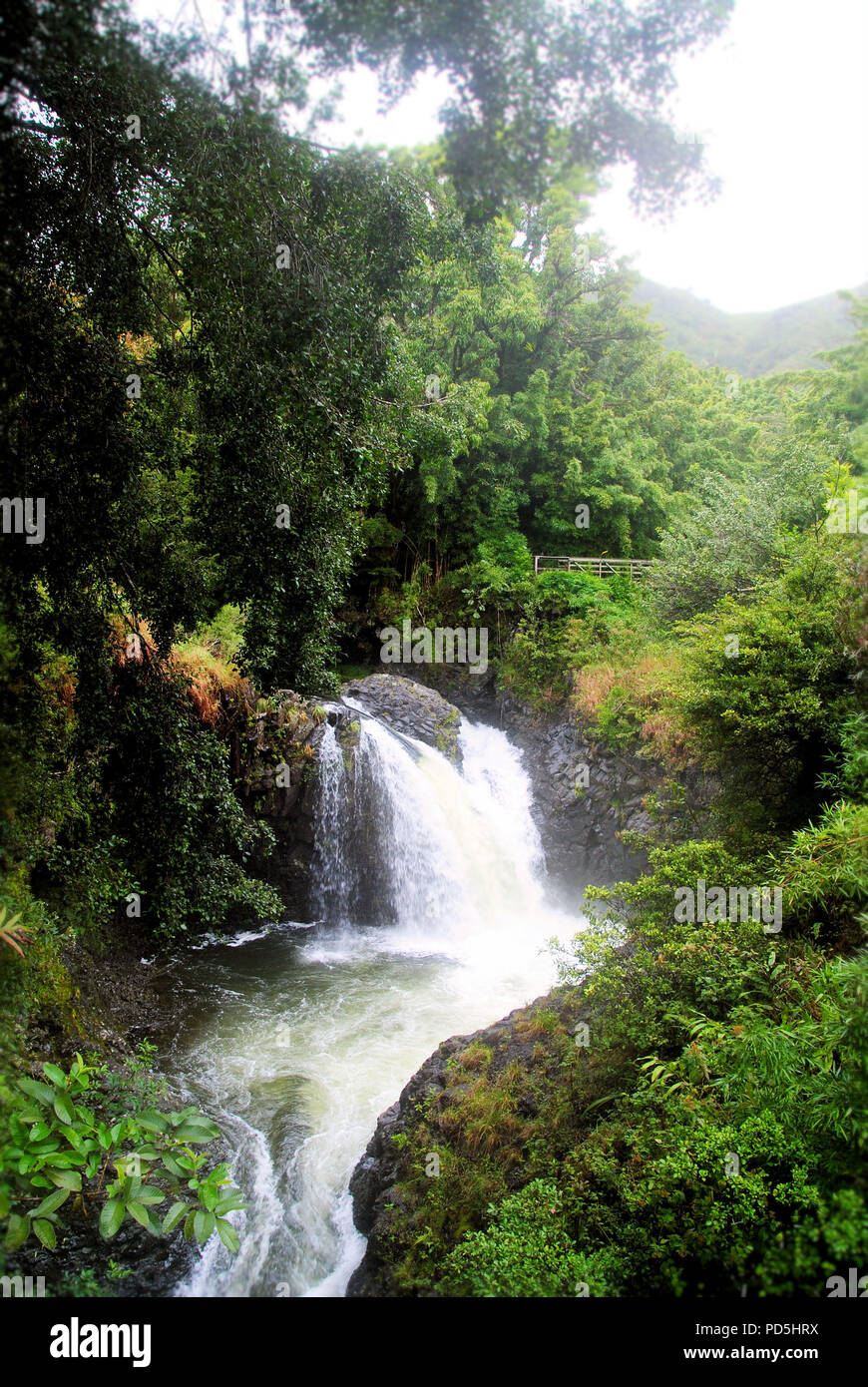 Palikea stream hi-res stock photography and images - Alamy
