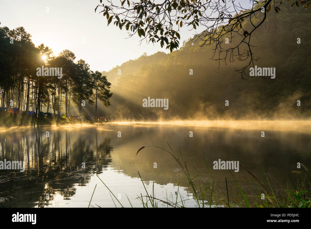 Beautiful morning view at Pang Ung lake, Pang Ung Mae Hong Son province ...