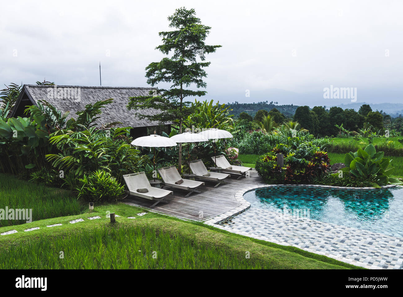 Beautiful walkway to the amazing pool between rice fields Stock Photo ...