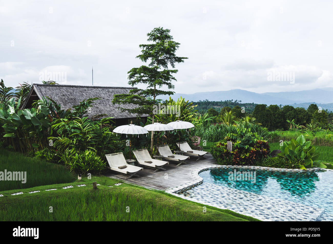 Luxury tropical resort fields hi-res stock photography and images - Alamy