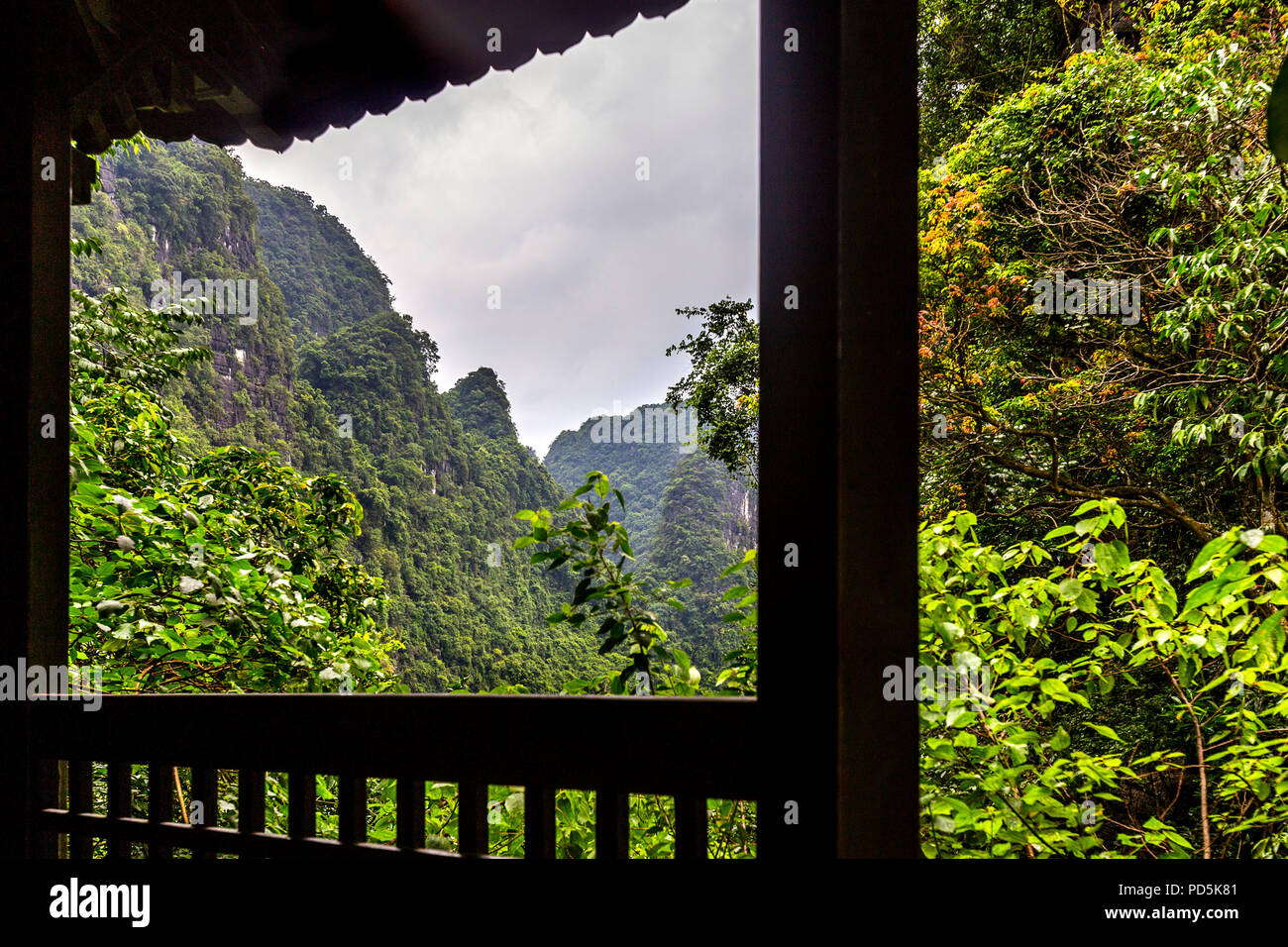 Jungle Overlook High Resolution Stock Photography and Images - Alamy