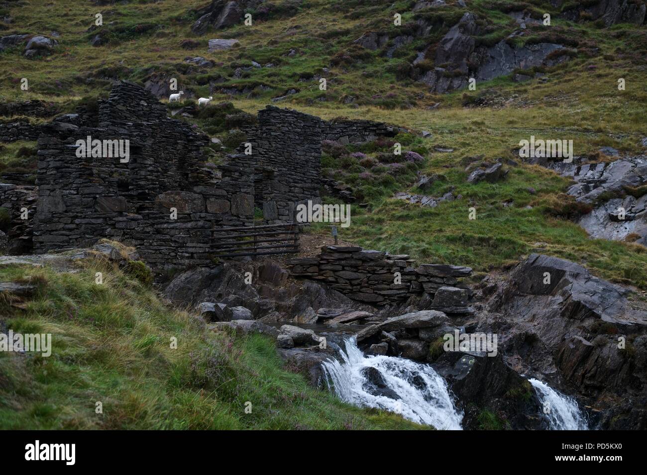 Snowdonia, Rivers and landscapes Stock Photo - Alamy