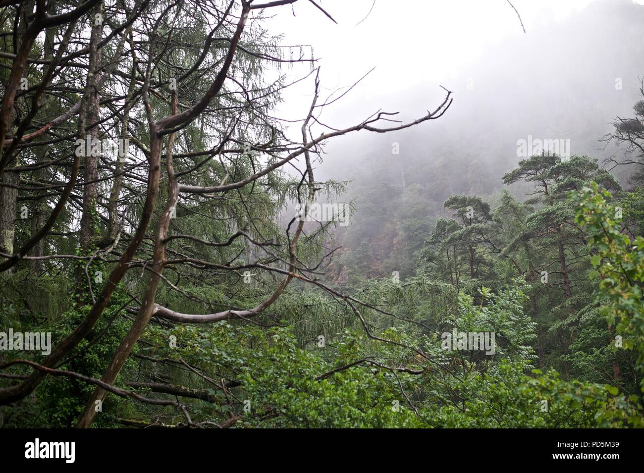 Snowdonia, Rivers and landscapes Stock Photo - Alamy