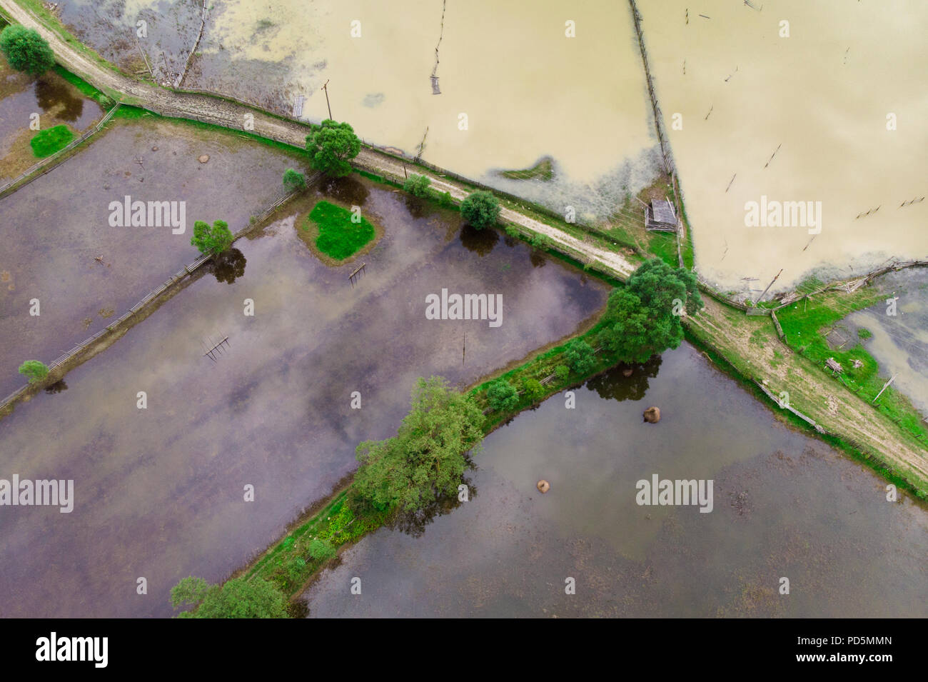 Flooded garden hi-res stock photography and images - Alamy