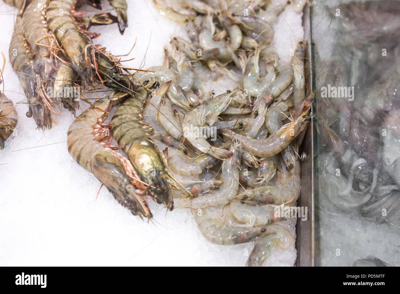 Close up food image of raw frozen prawns on ice on the market Stock ...