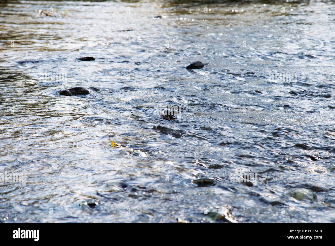 Sumer image hi-res stock photography and images - Alamy