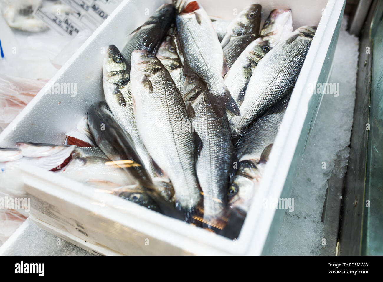 Close up food image of raw frozen sea bass fish on ice on the market ...