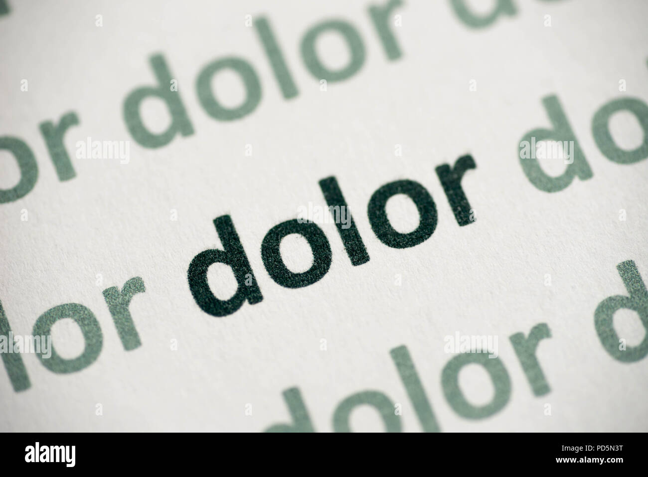 word dolor printed on white paper macro Stock Photo - Alamy