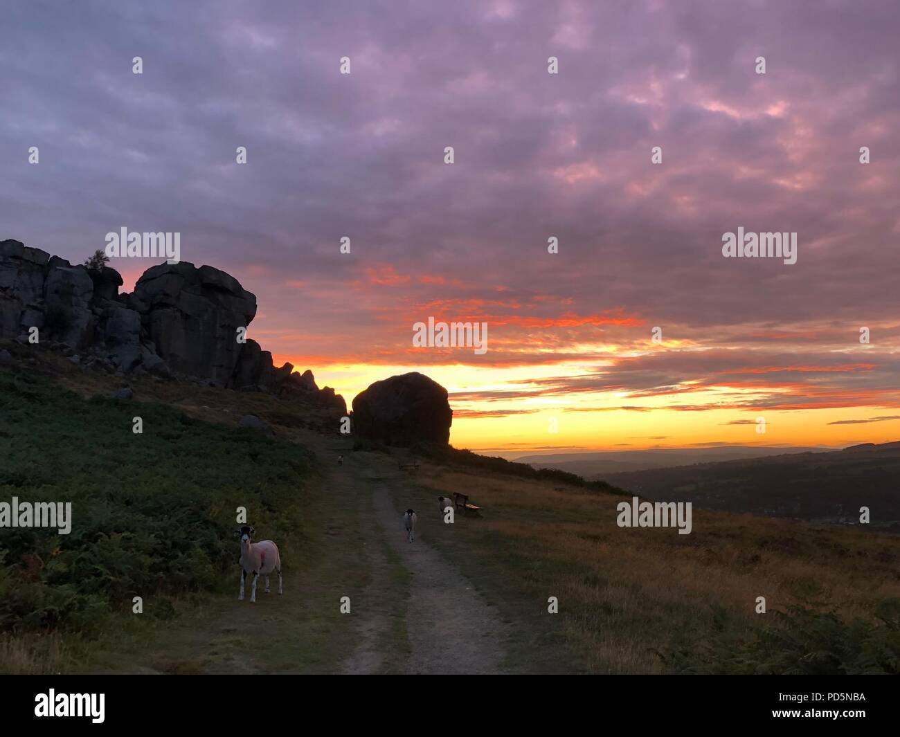 Cow and calf rocks Ilkley Moor Stock Photo - Alamy