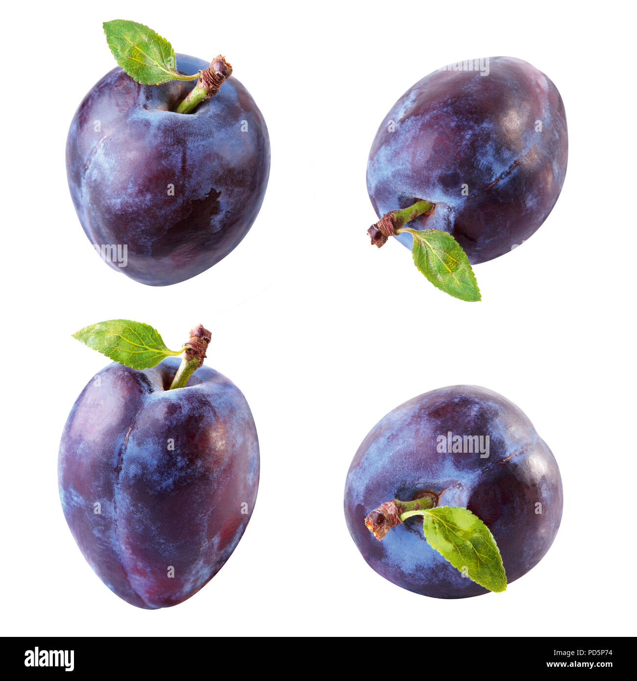 Plums on a white background hi-res stock photography and images - Alamy