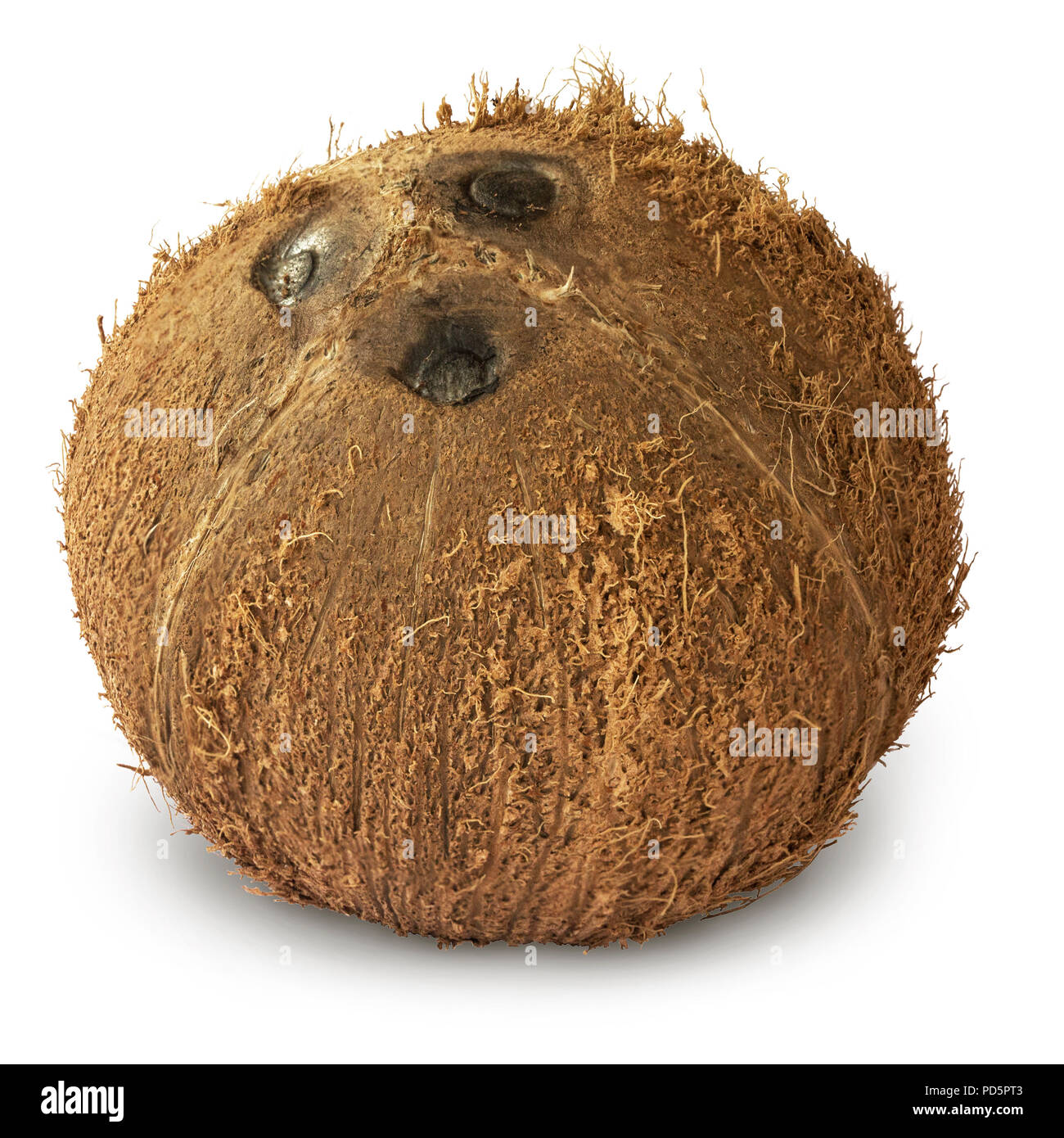 Ripe coconuts on palm Cut Out Stock Images & Pictures - Alamy