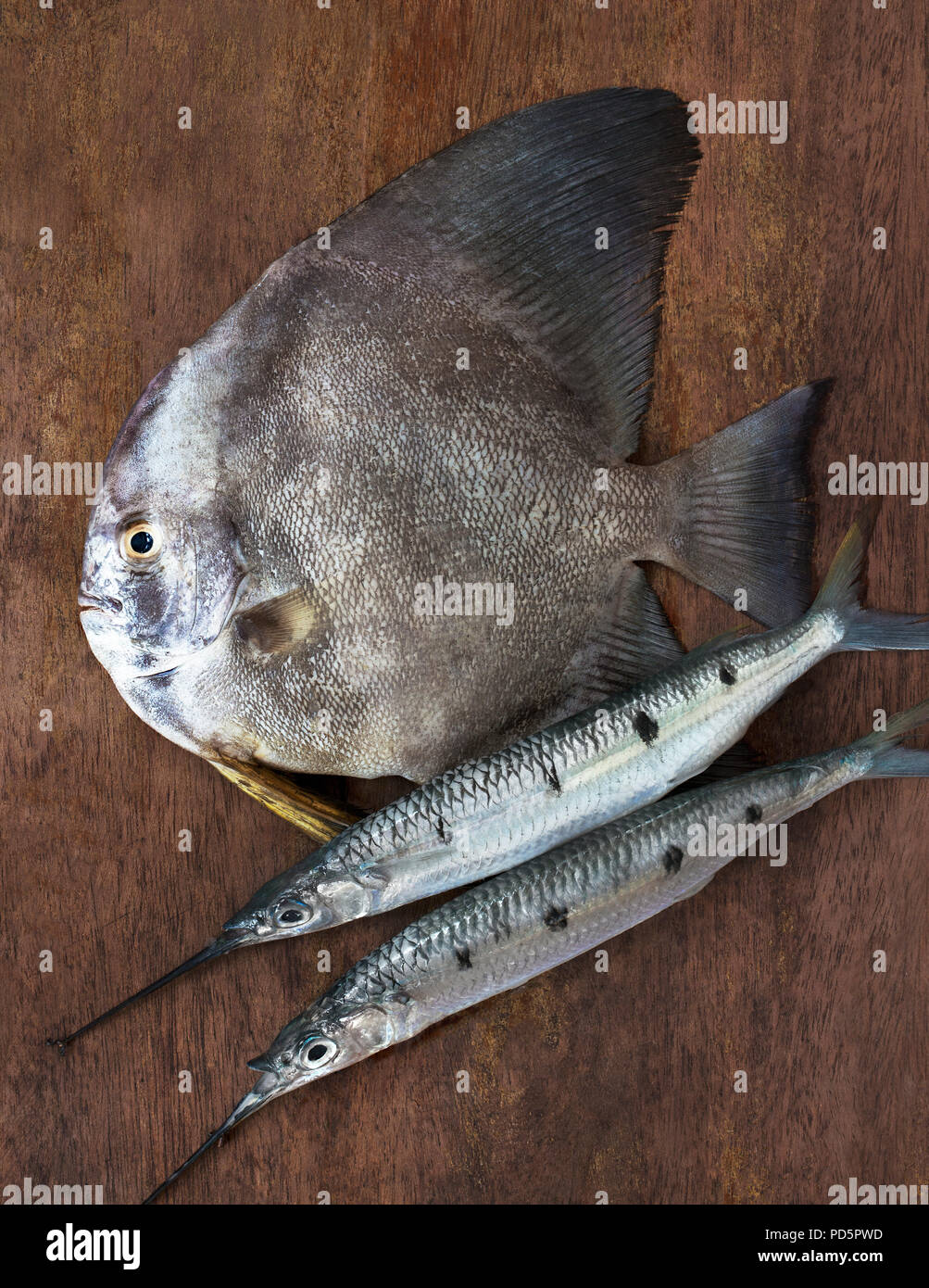Giant fish vintage hi-res stock photography and images - Alamy
