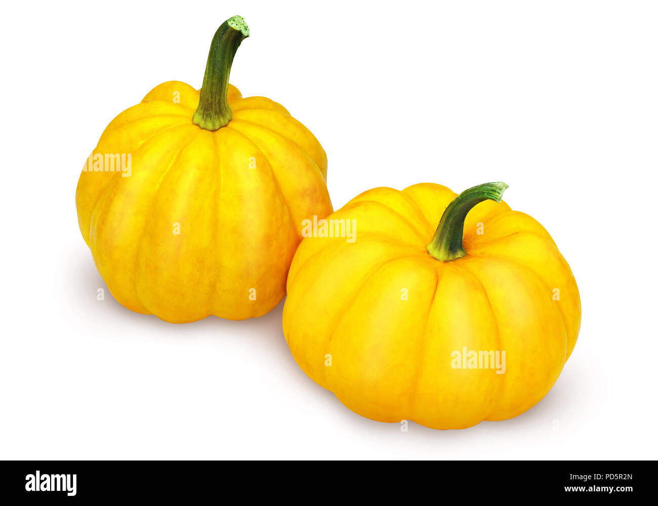 Mini pumpkins Cut Out Stock Images & Pictures - Alamy