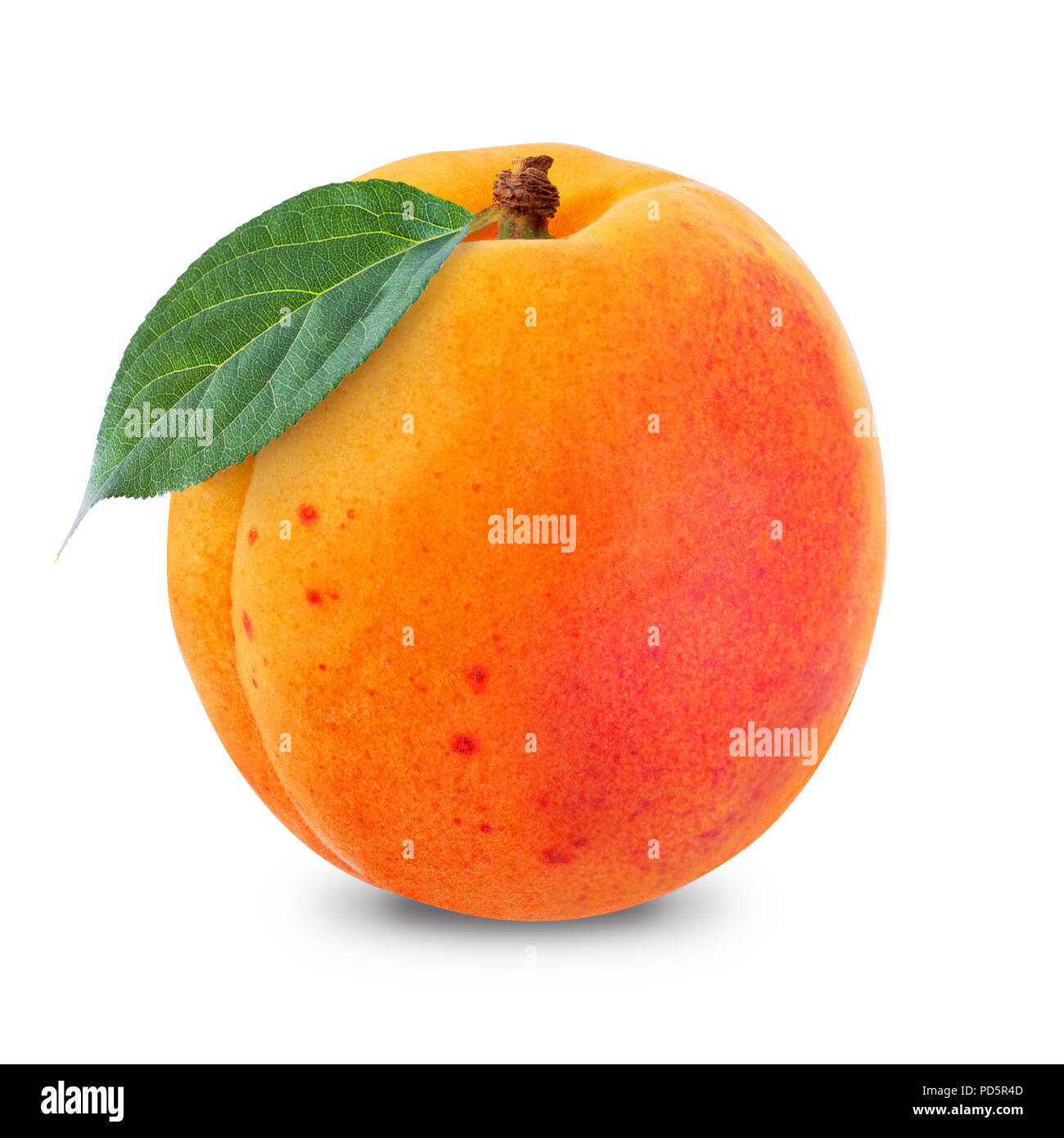 Sliced yellow apricot path hi-res stock photography and images - Alamy