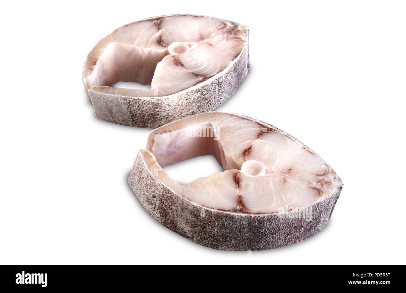 Cobia isolated on white hi-res stock photography and images - Alamy