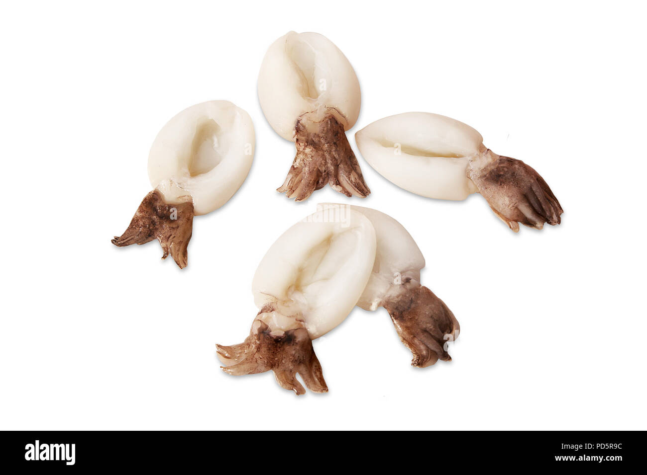 Raw fresh cuttlefish babies isolated on white background Stock Photo ...