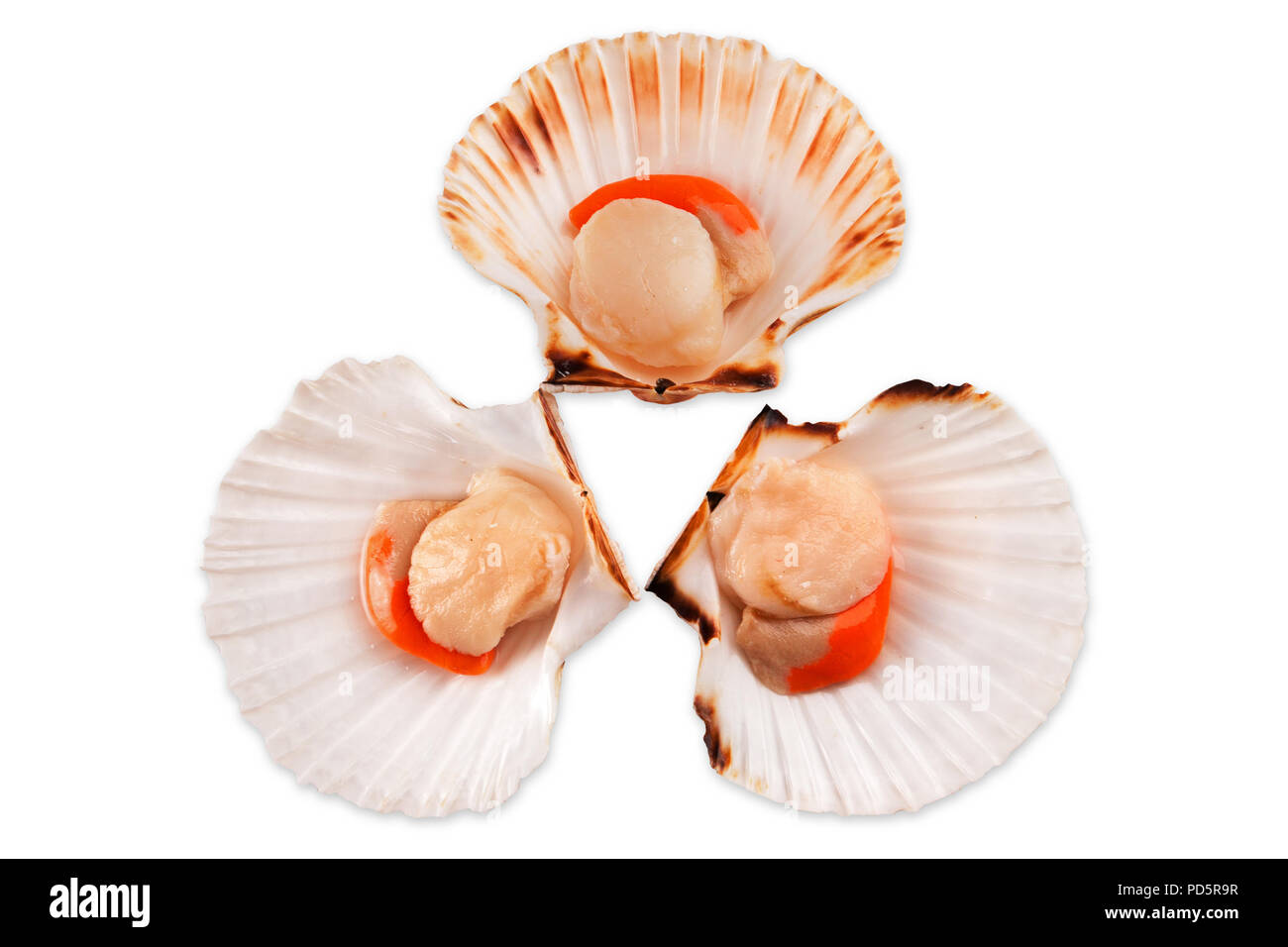 Sea scallop raw in seashell on white background Stock Photo - Alamy