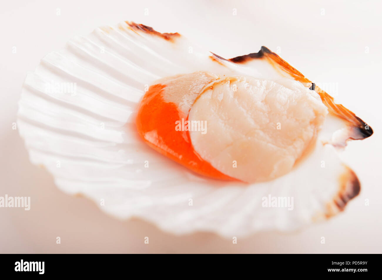 Sea scallop raw in seashell on white background Stock Photo - Alamy