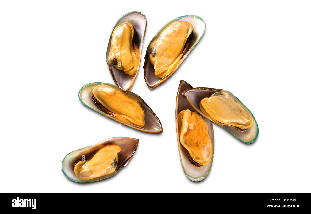Six mussels in a seashell isolated on a white background Stock Photo ...