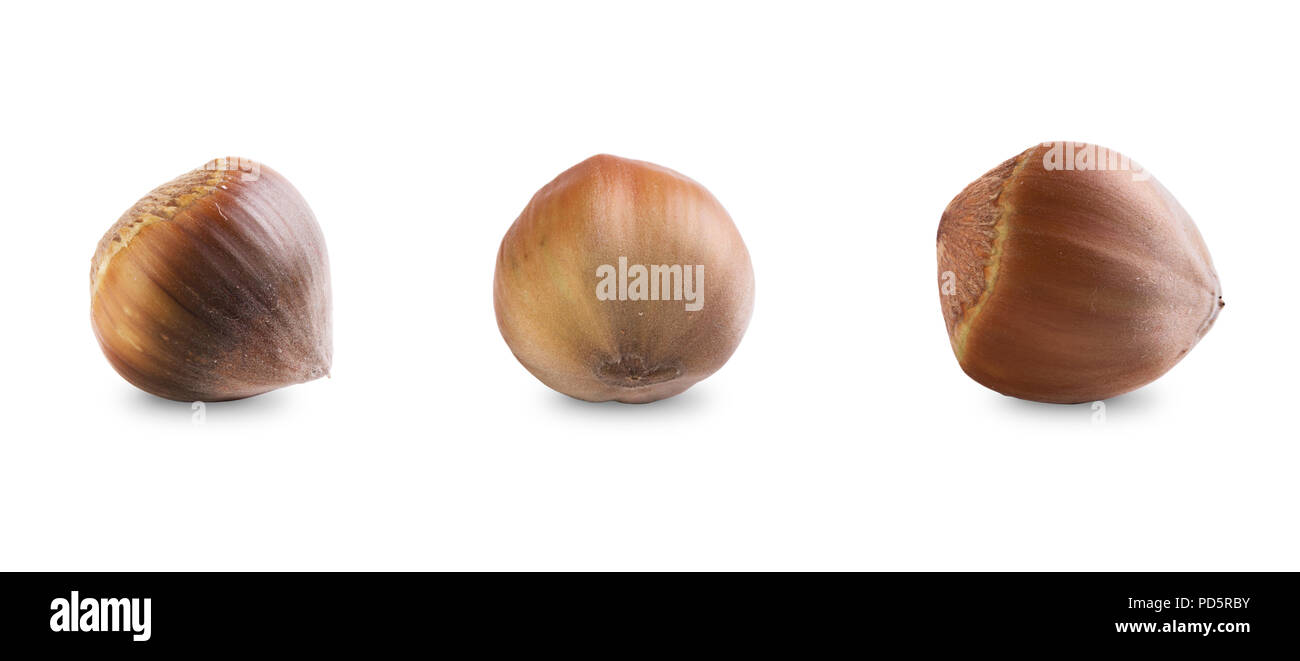 Two hazelnuts in a shell isolated on a white background Stock Photo - Alamy