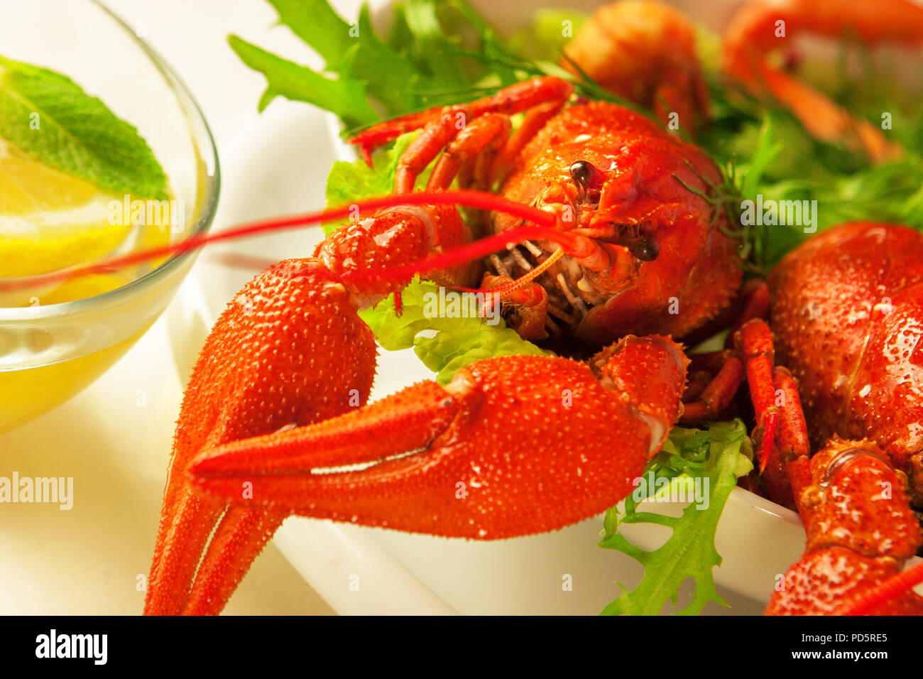Red crayfish with greens in a plate Stock Photo - Alamy
