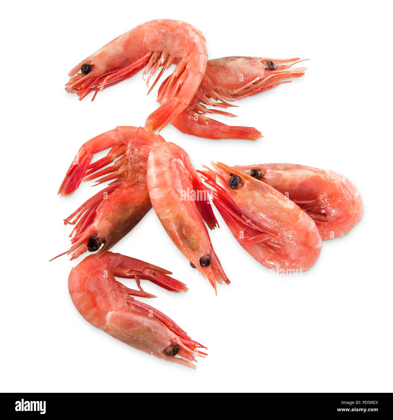 Boiled small shrimp isolated on white background Stock Photo - Alamy