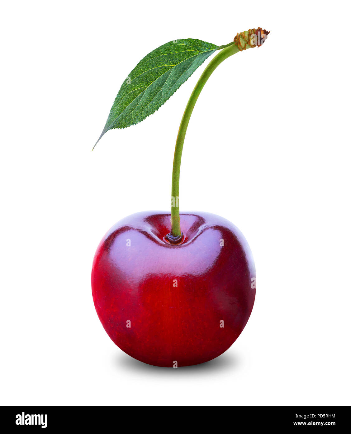 One cherry isolated on a white background Stock Photo - Alamy