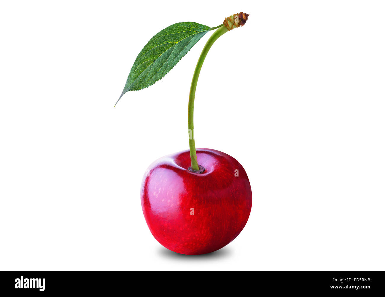 One cherry isolated on hi-res stock photography and images - Alamy
