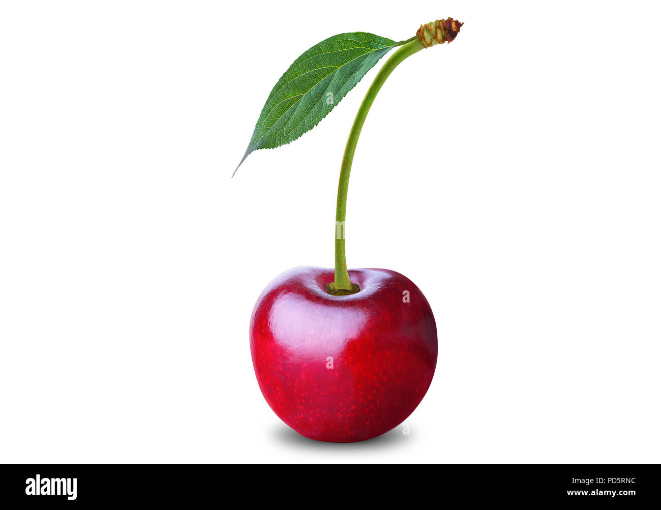 One cherry isolated on hi-res stock photography and images - Alamy