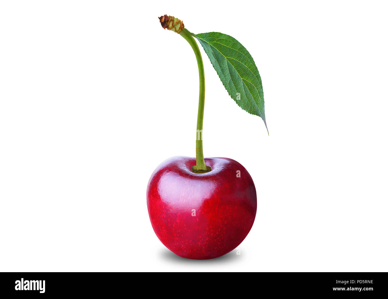 One cherry isolated on hi-res stock photography and images - Alamy