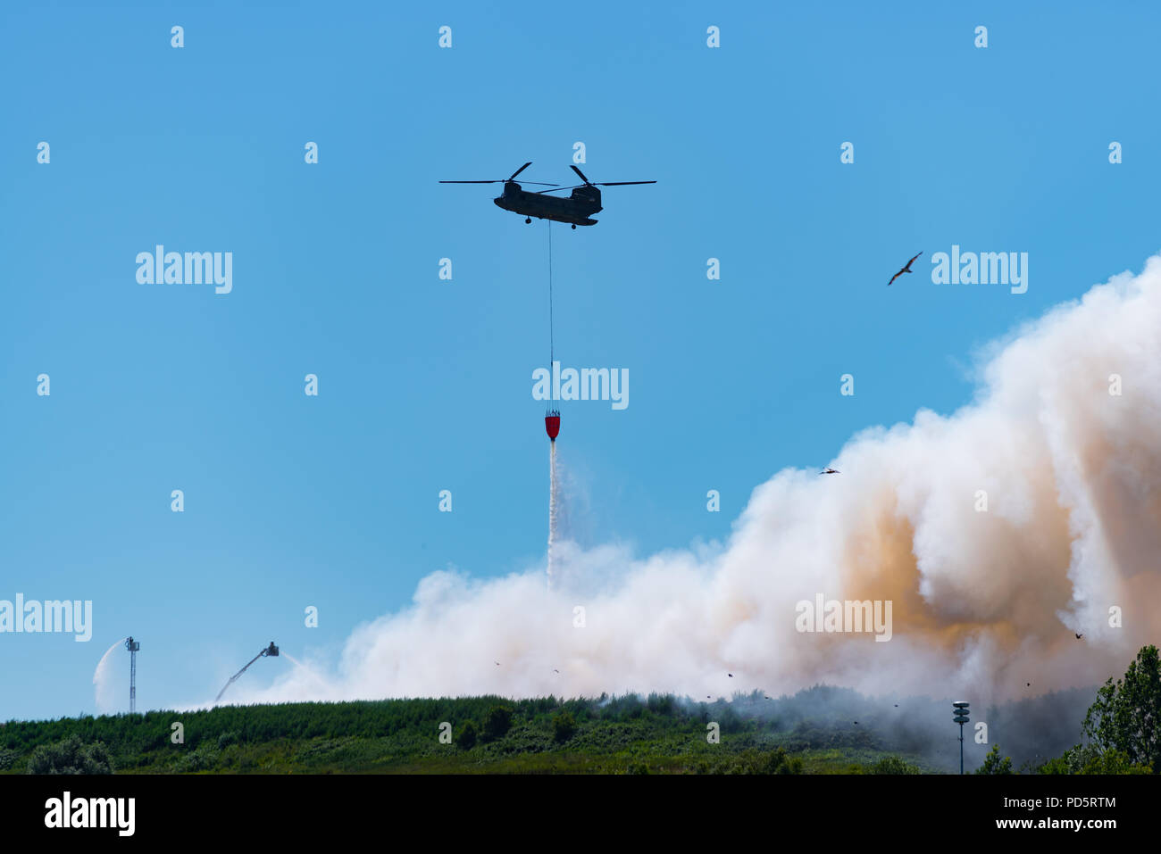 Fire flies netherlands hi-res stock photography and images - Alamy