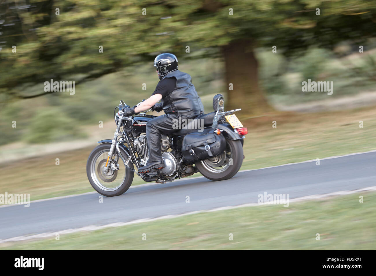 Leather clad biker riding his cruiser custom XL883 Low Harley Davidson ...