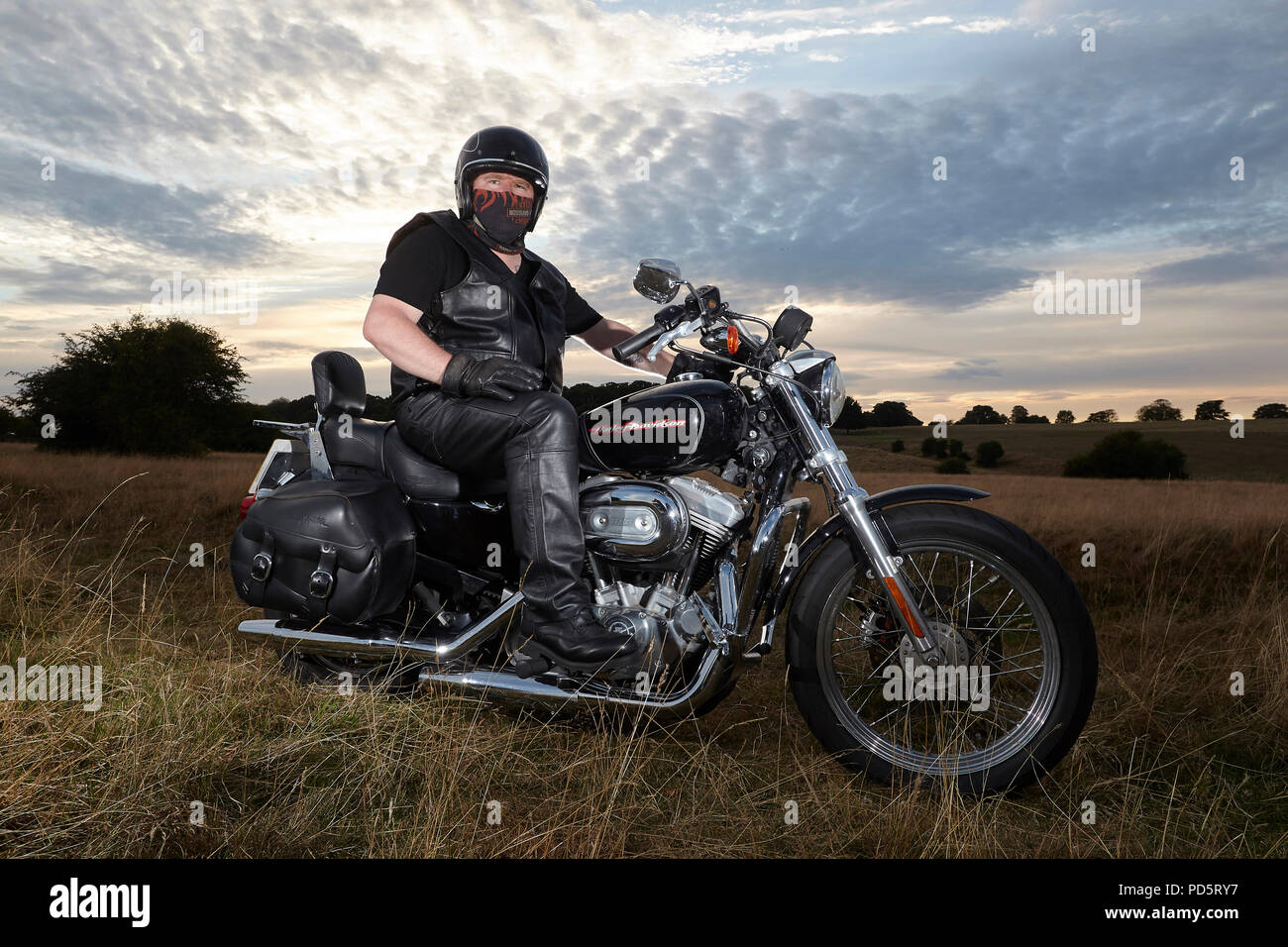 Custom harley davidson hi-res stock photography and images - Alamy