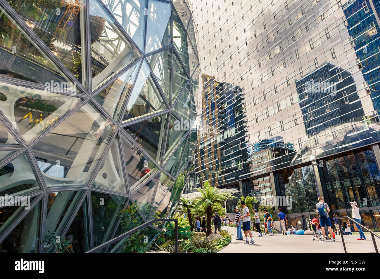 Amazon Terrarium Seattle at James Daulton blog