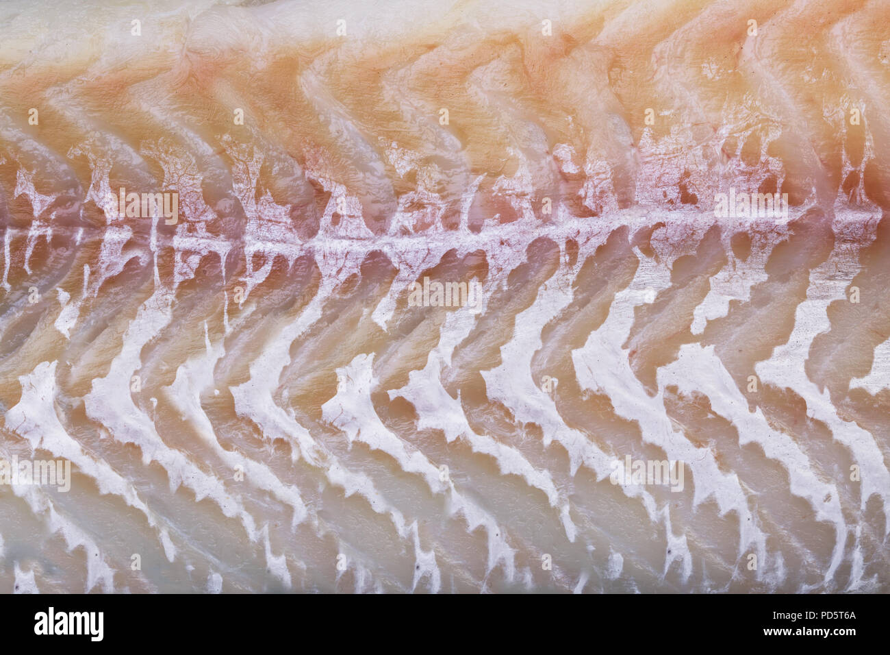 Background texture of fish fillets close-up macro Stock Photo - Alamy