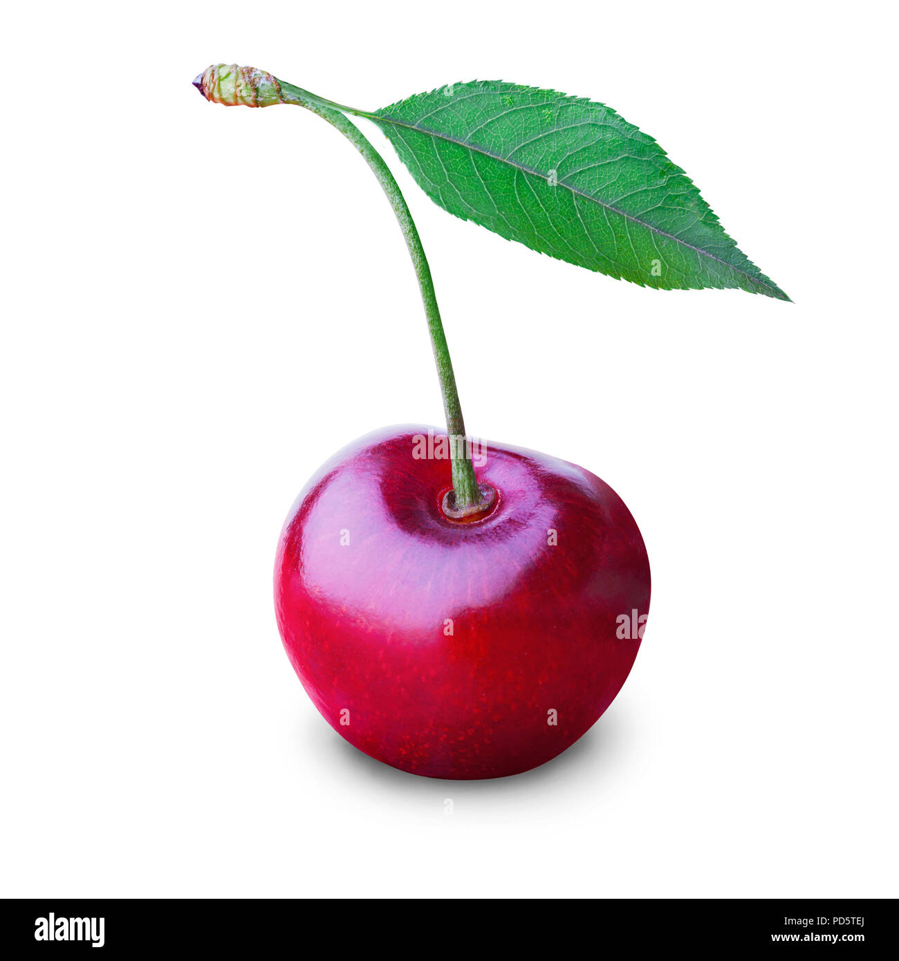 Top view of one cherry with a leaf isolated on a white background Stock ...