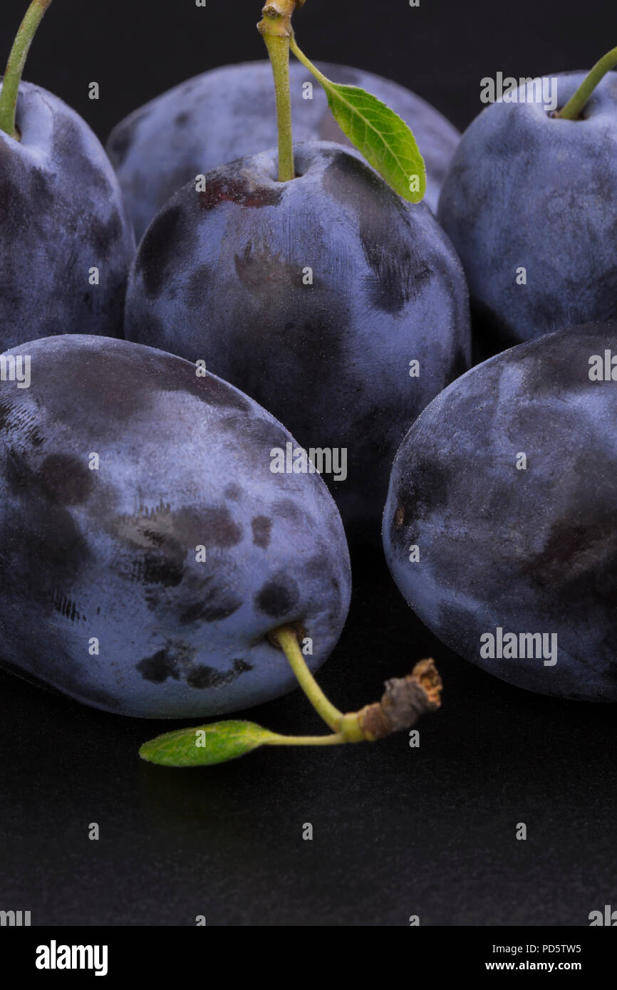 Macro shot of a group of ripe plums on a blackboard background. Front ...