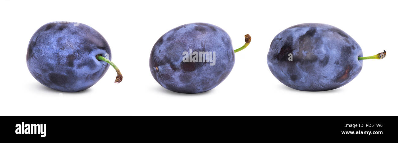 Three plums in different phases isolated on white background Stock ...
