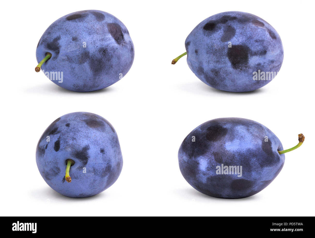 Four plums in different phases isolated on white background Stock Photo ...
