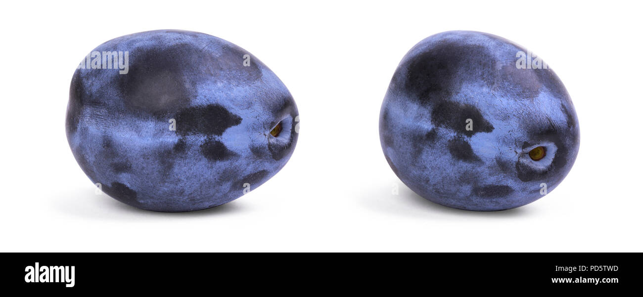 Two plums in different phases isolated on white background Stock Photo ...