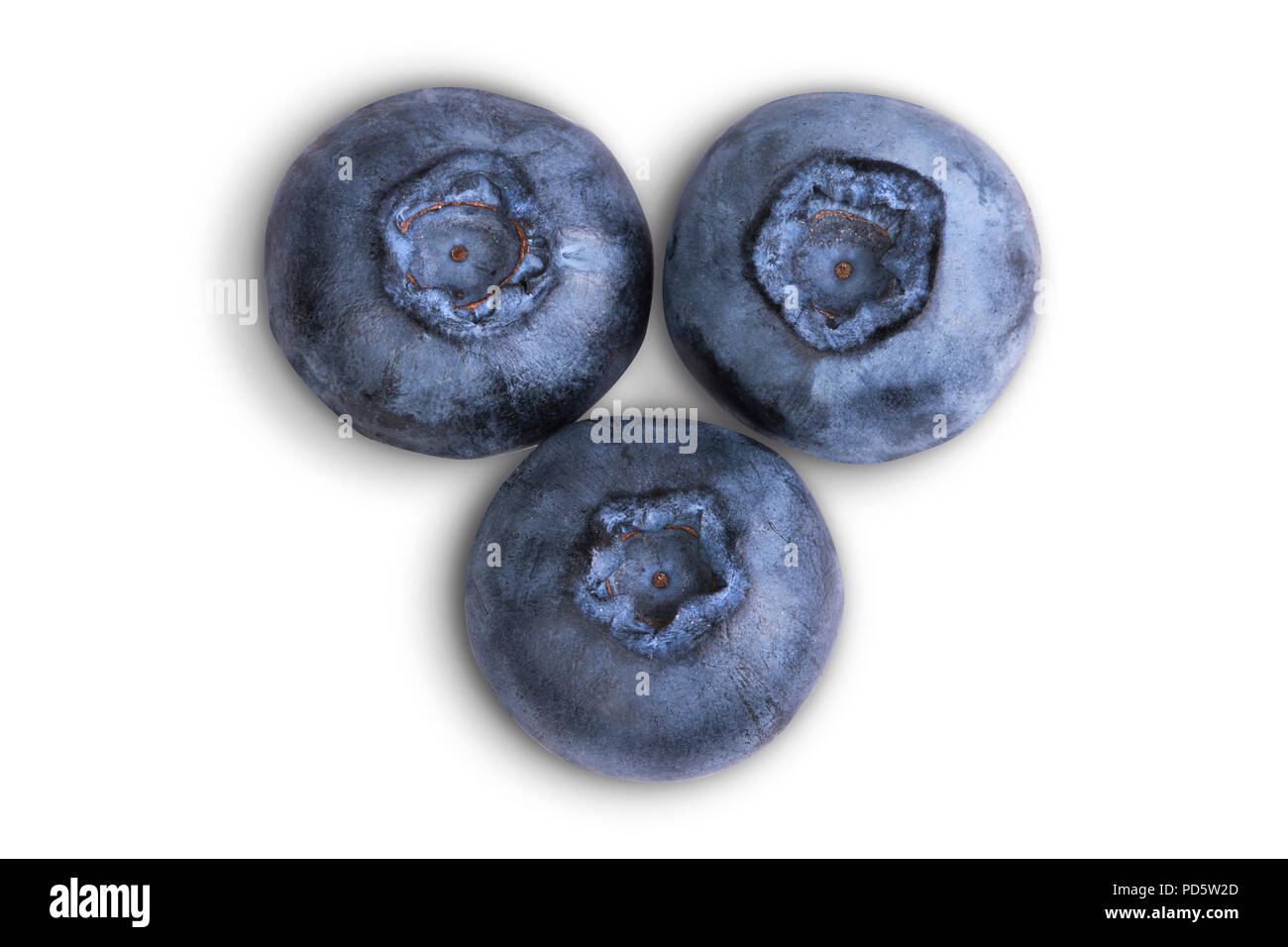 Three berries of blueberries isolated on white background Stock Photo ...