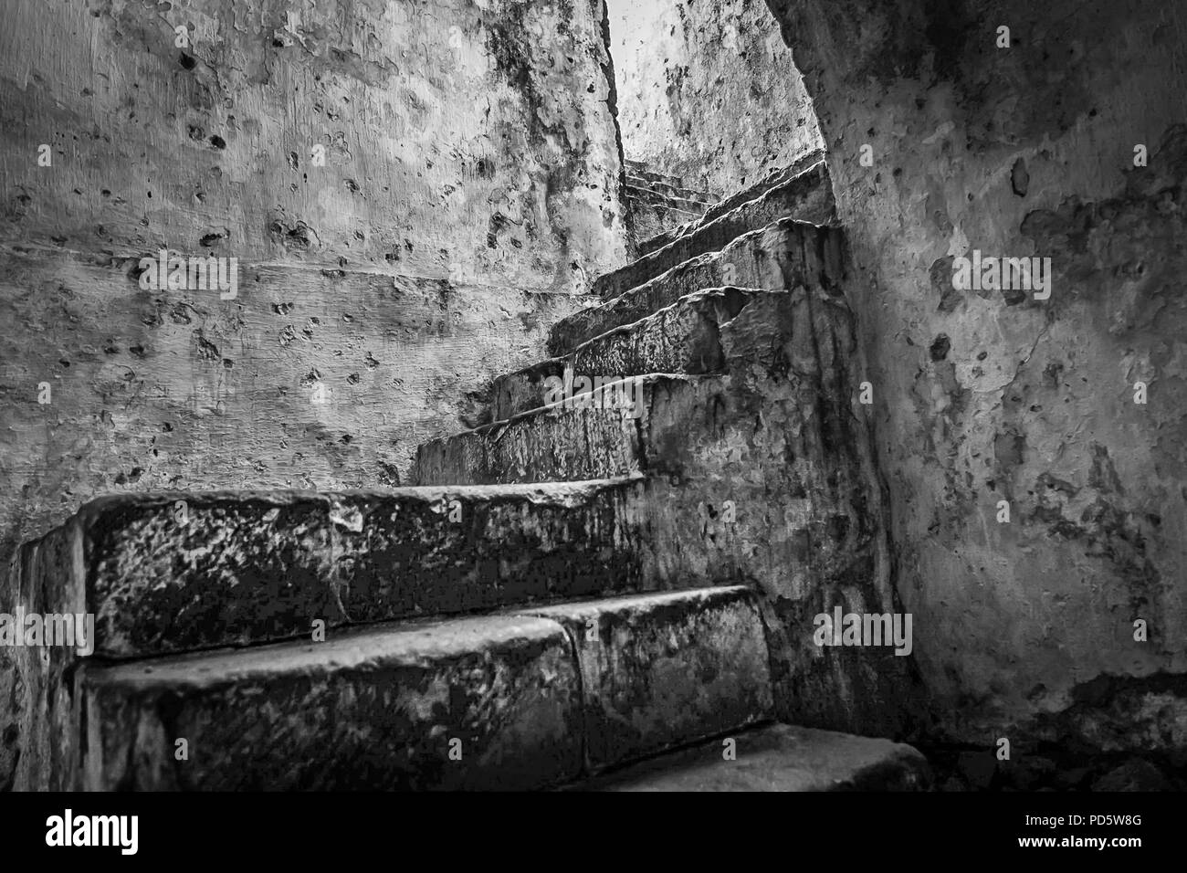 Matthew fort hi-res stock photography and images - Alamy