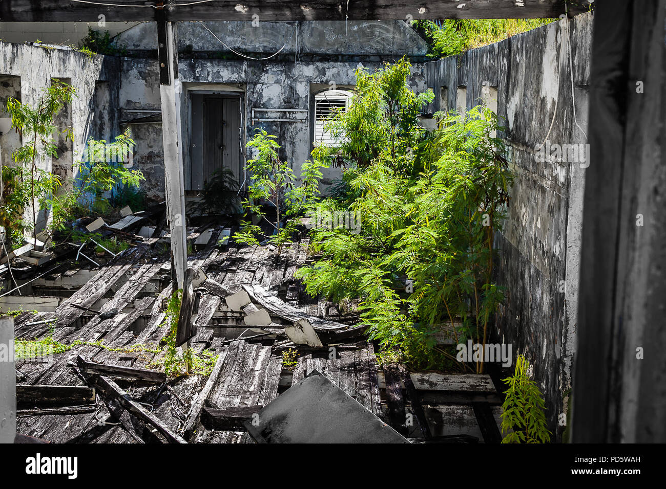 Fort george island landscape hi-res stock photography and images - Alamy