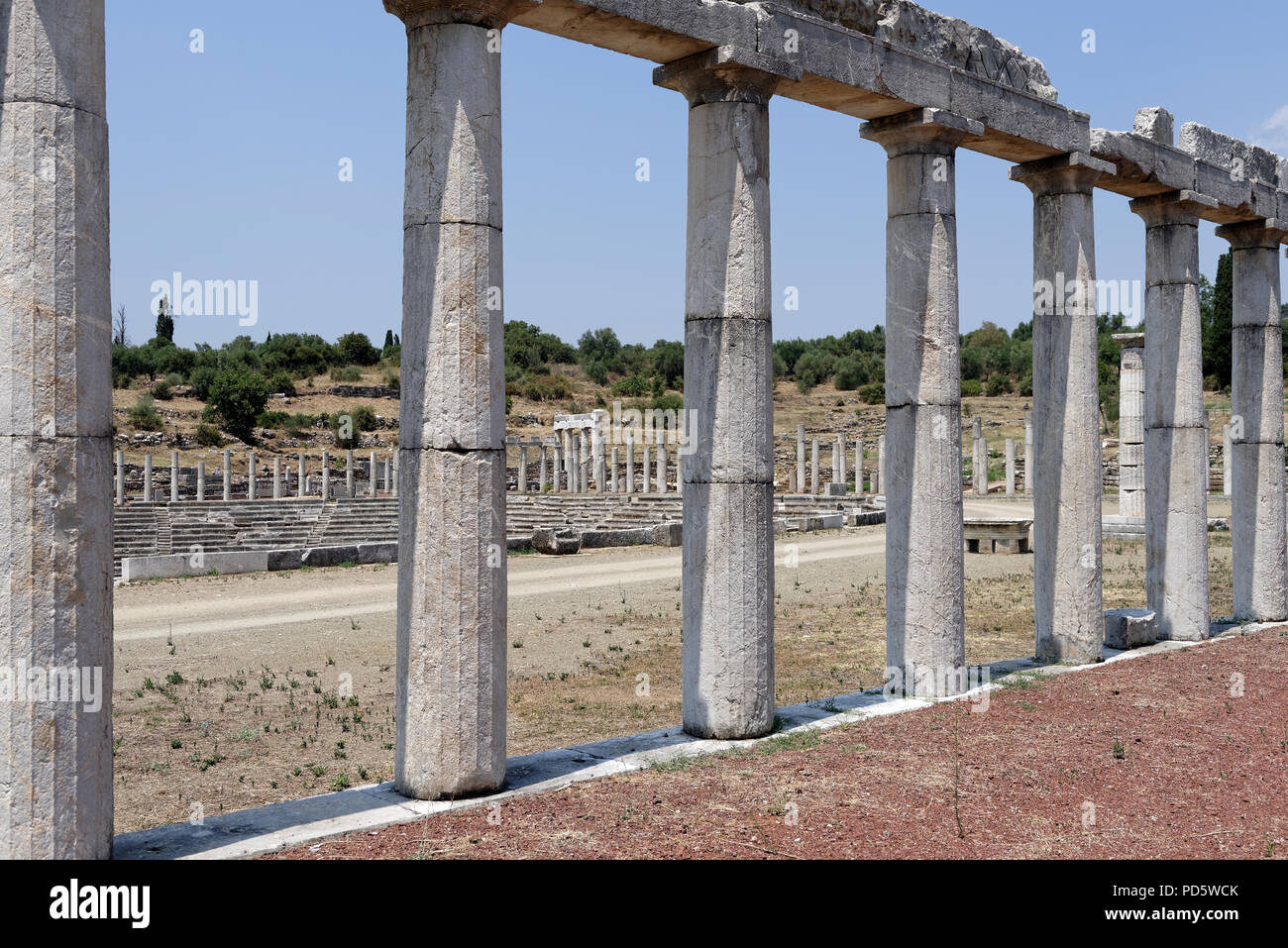 Section of the Gymnasium Doric colonnade with a view of the stadium ...