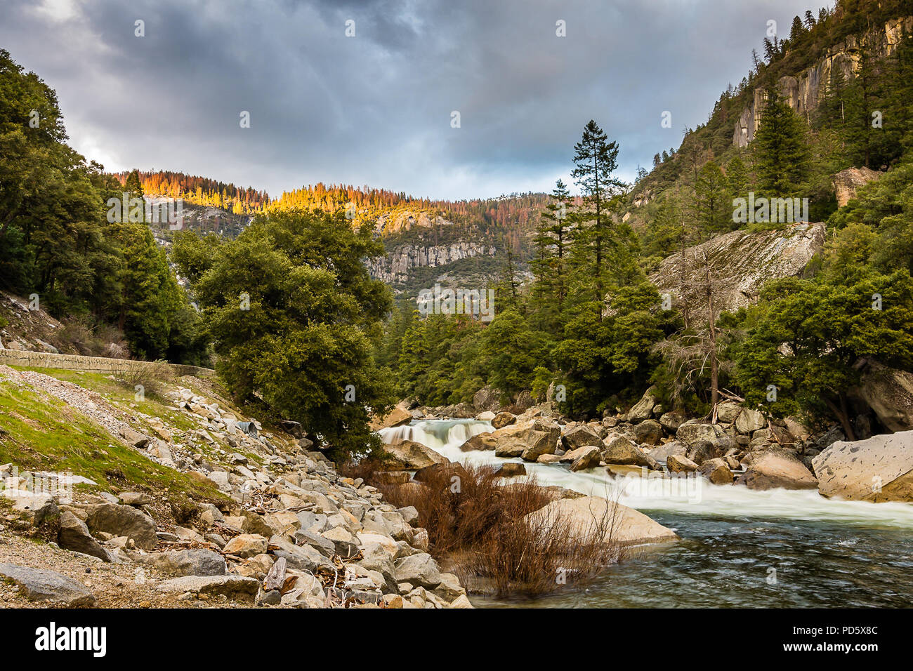 Backwoods river hi-res stock photography and images - Alamy