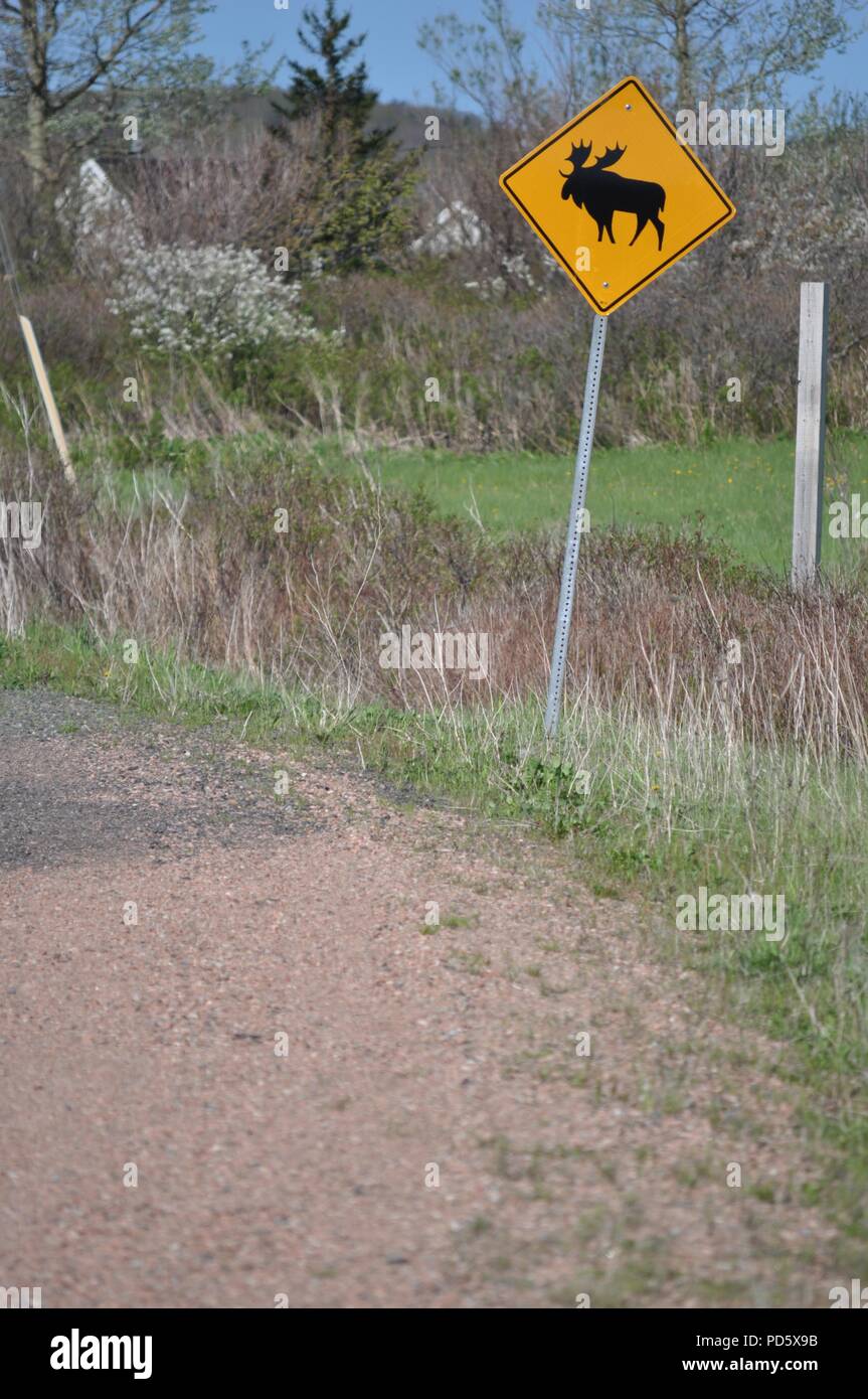 Moose Road Sign (Moose Crossing Advisory Signpost Stock Photo - Alamy