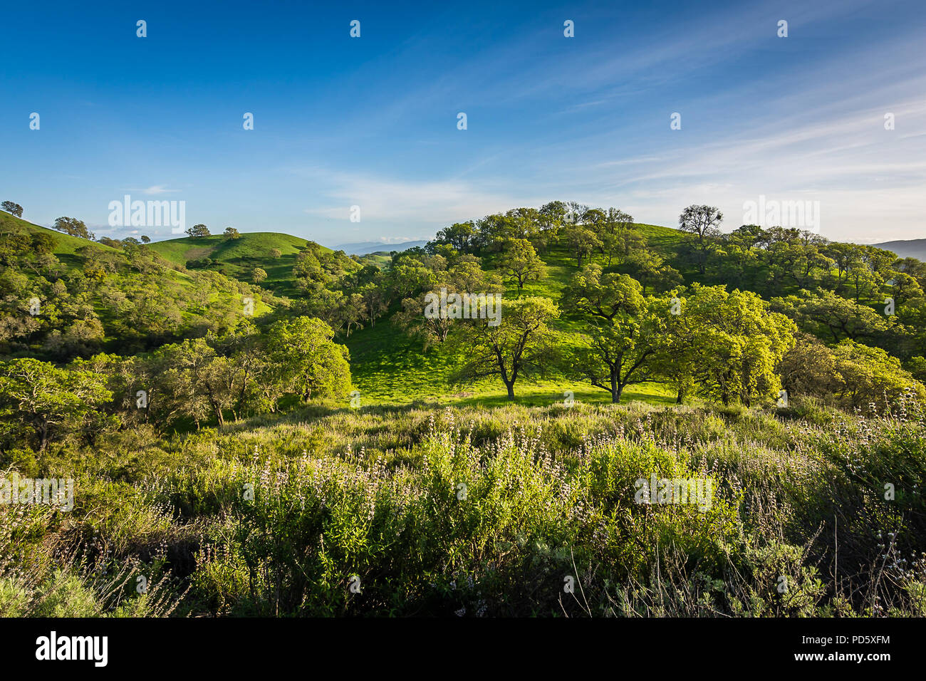 Mount Diablo State Park Stock Photo - Alamy