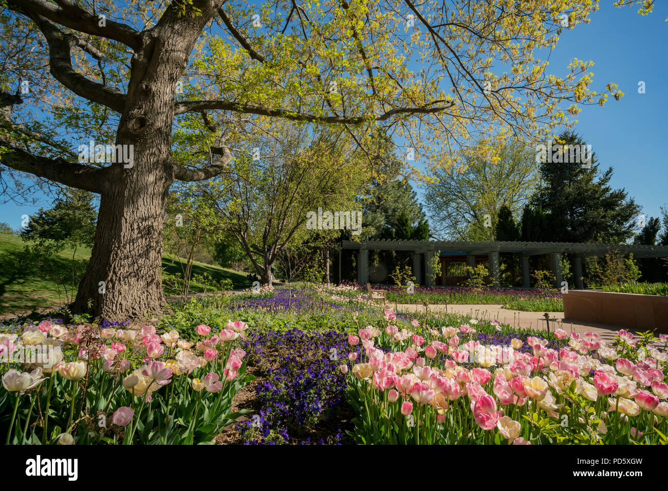 Downtown denver spring hi-res stock photography and images - Alamy