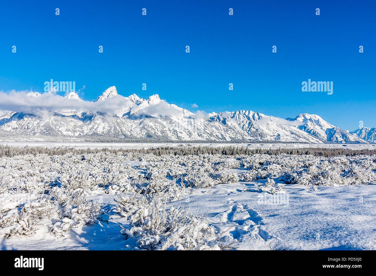 Grand Teton Mountain Range Stock Photo - Alamy