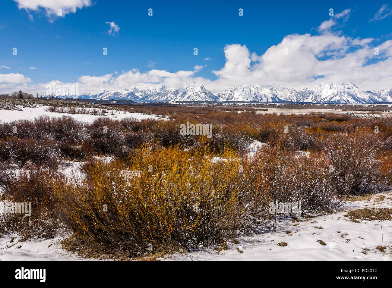 Cunningham park hi-res stock photography and images - Alamy